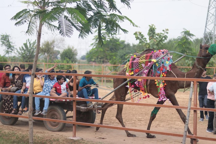 Family Fun and Kid-Friendly Picnic place in Gurgaon